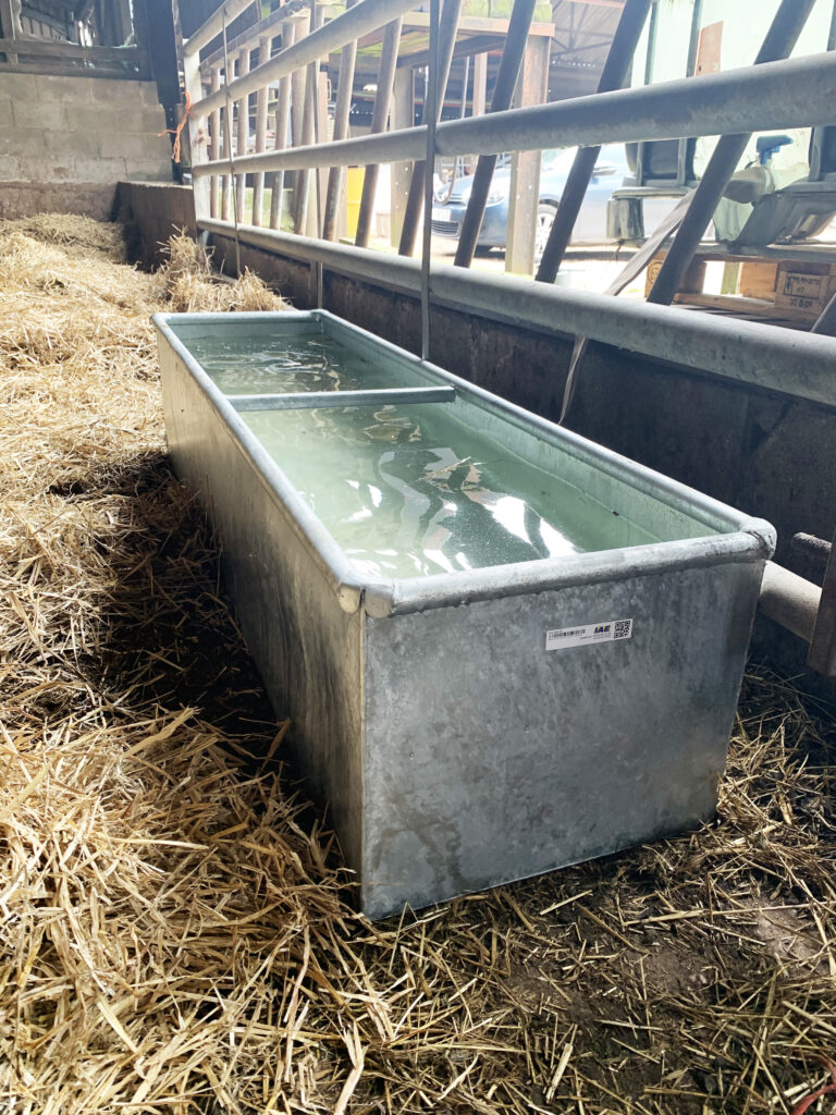 IAE Cattle Water Trough - R & L Miller